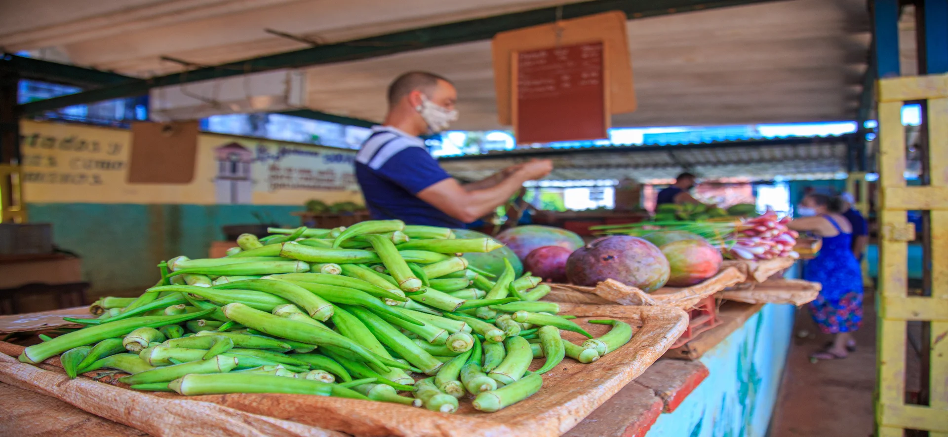 ¿Qué es el quimbombó cubano y cómo prepararlo? - Mandao Blog