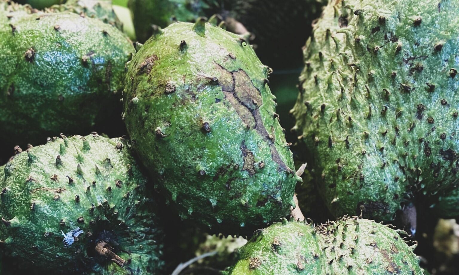 ¿Cómo se hace la champola? - Mandao Blog